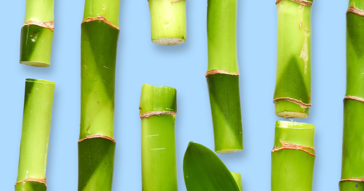 VITACEL® BAF fibra de bambú